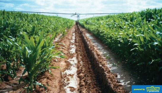 Agri-business Innovation for Healthy Produce | Everris Kenya Ltd (ICL ...